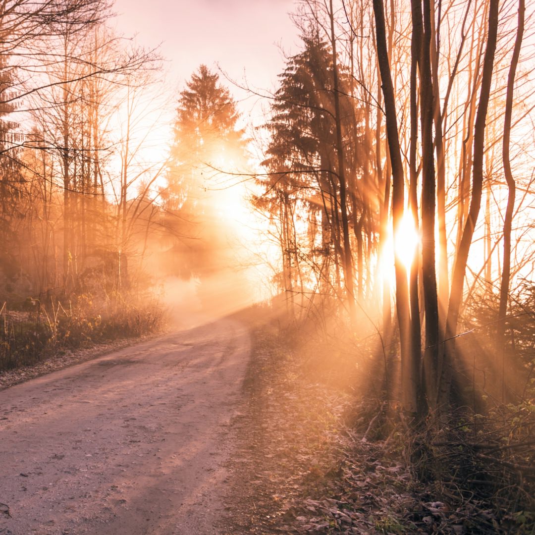 5 Ways to Fall Into Autumn – Brentwood Home