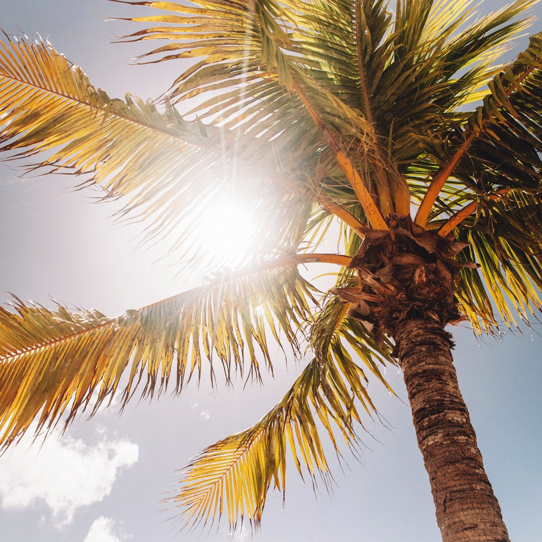 Summer Sun & Vitamin D – Brentwood Home