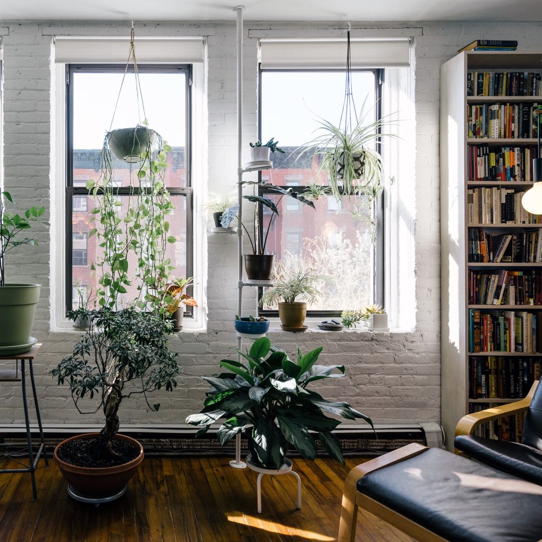 Invite Nature Indoors – Brentwood Home